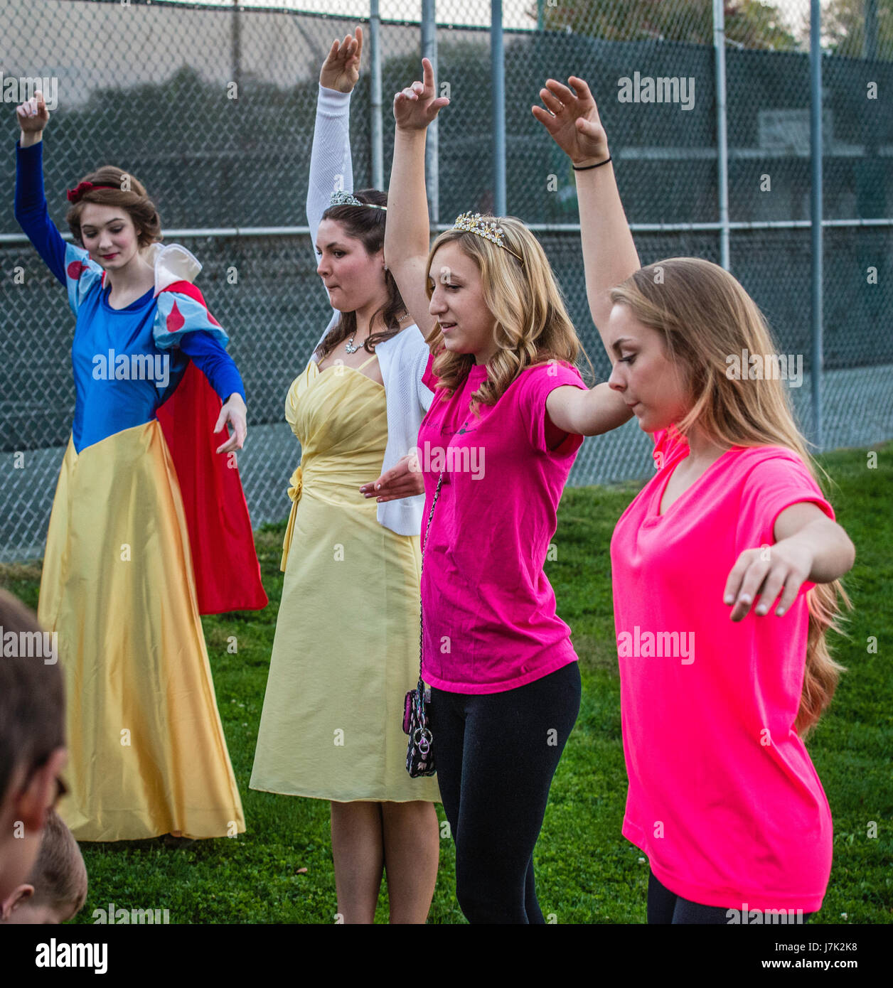 Small town rural country fair Stock Photo - Alamy