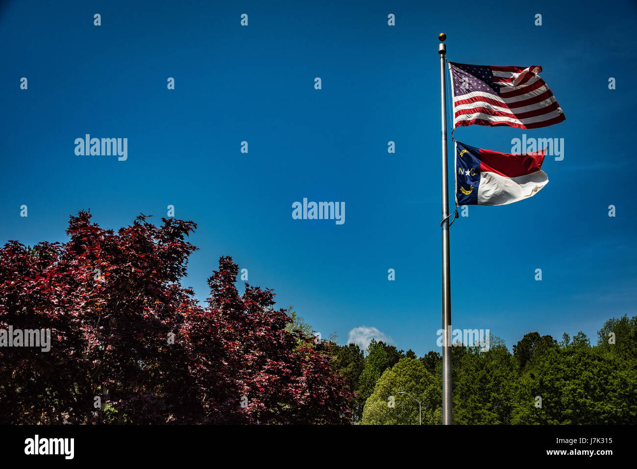 American and North Carolina State flags Stock Photo - Alamy