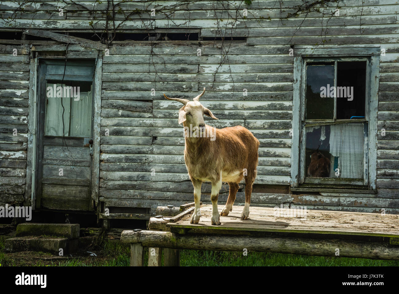Rural back roads of Virginia. Country store, USA flag, Ol d mill water ...