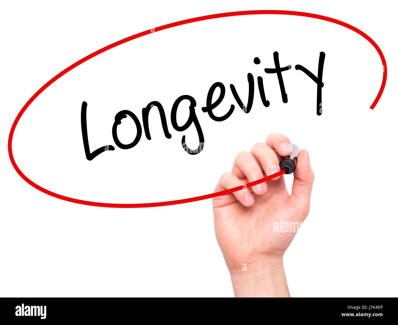 Man Hand writing Longevity with black marker on visual screen. Isolated ...