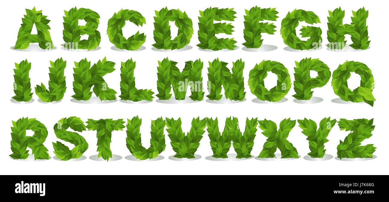 Eco letters with green leaves Stock Vector Image & Art - Alamy