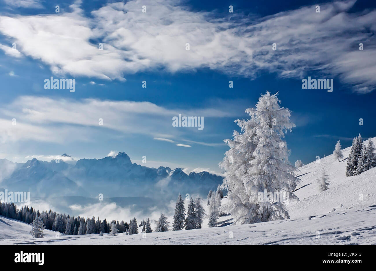 winter alps austrians carinthia nature tree trees mountains winter cold ...
