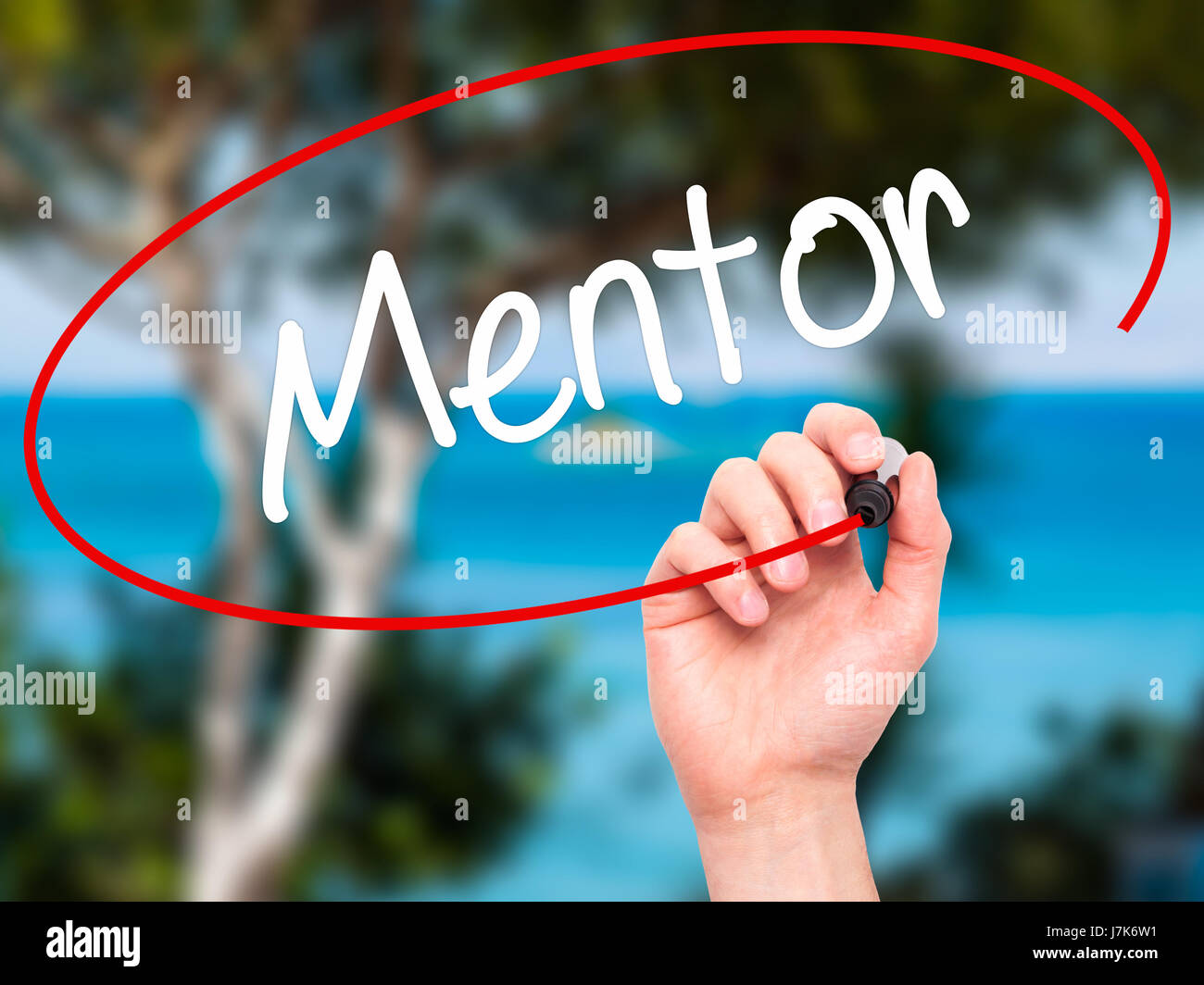Man Hand writing Mentor with black marker on visual screen. Isolated on ...