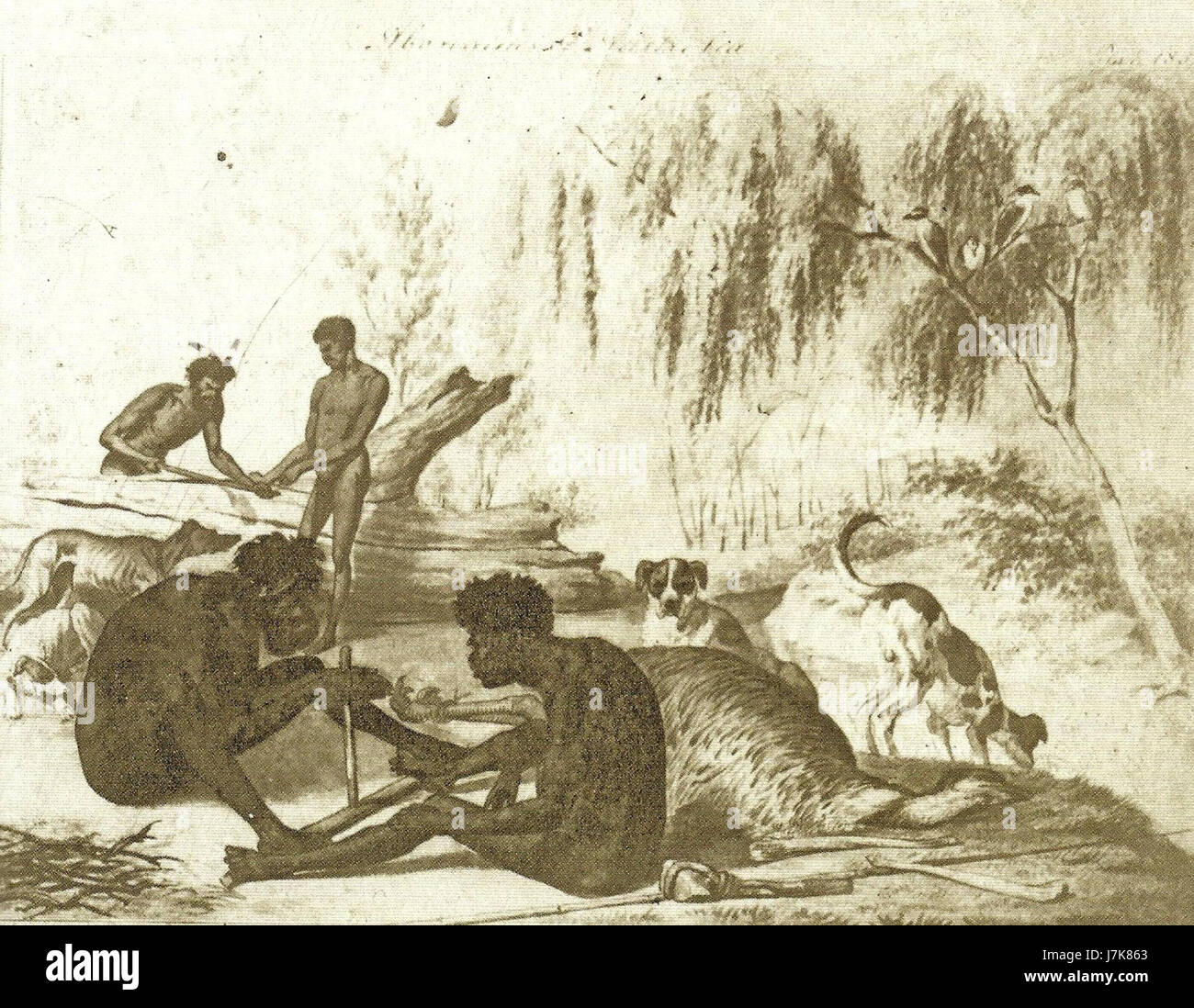 Aboriginal fire making Stock Photo - Alamy