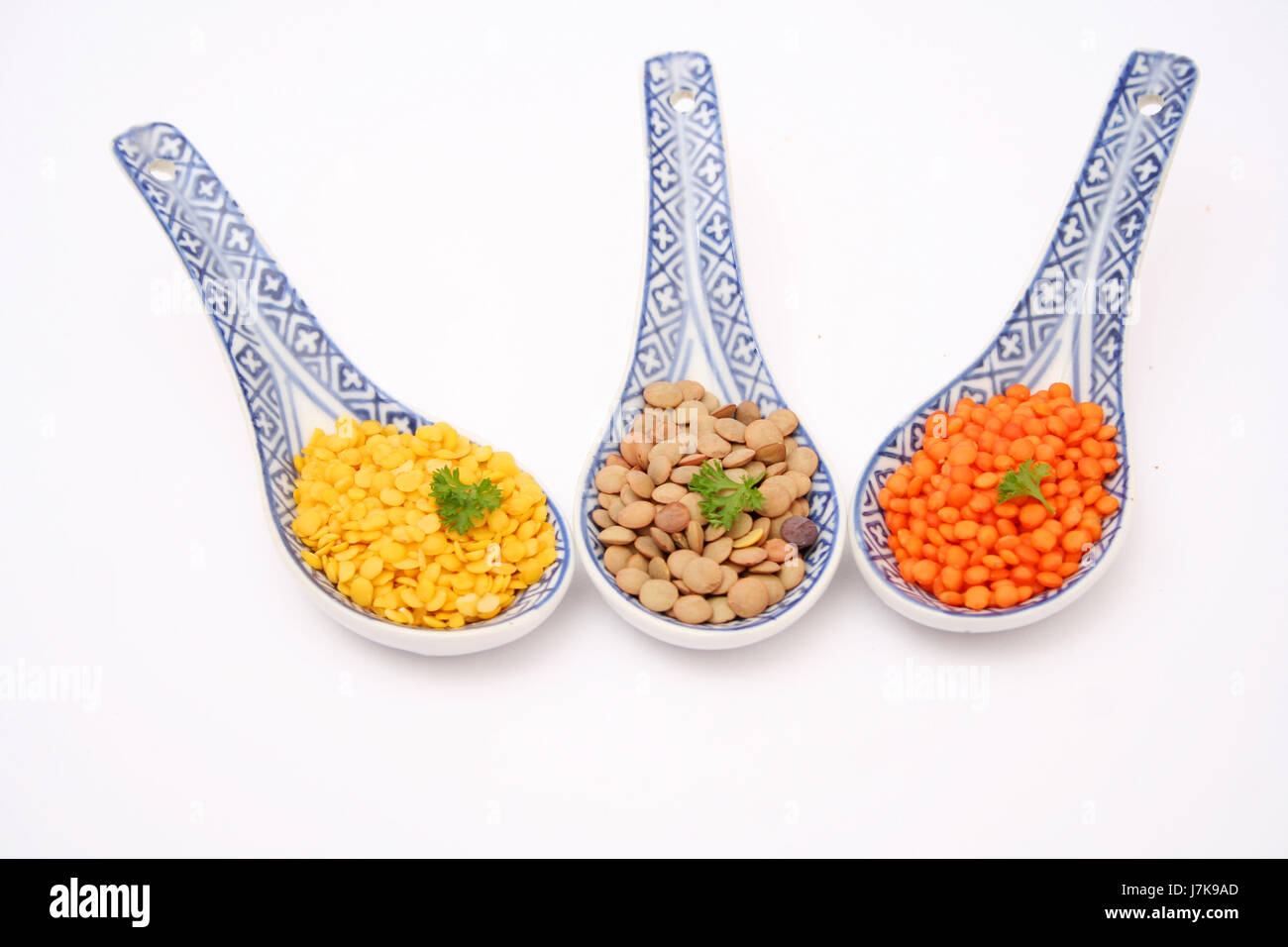 vegetable lenses legume isolated optional vegetable dried lenses legume ...