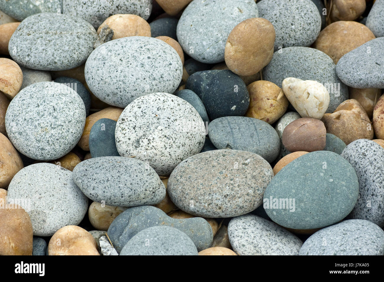 close shine shines bright lucent light serene luminous objects macro ...