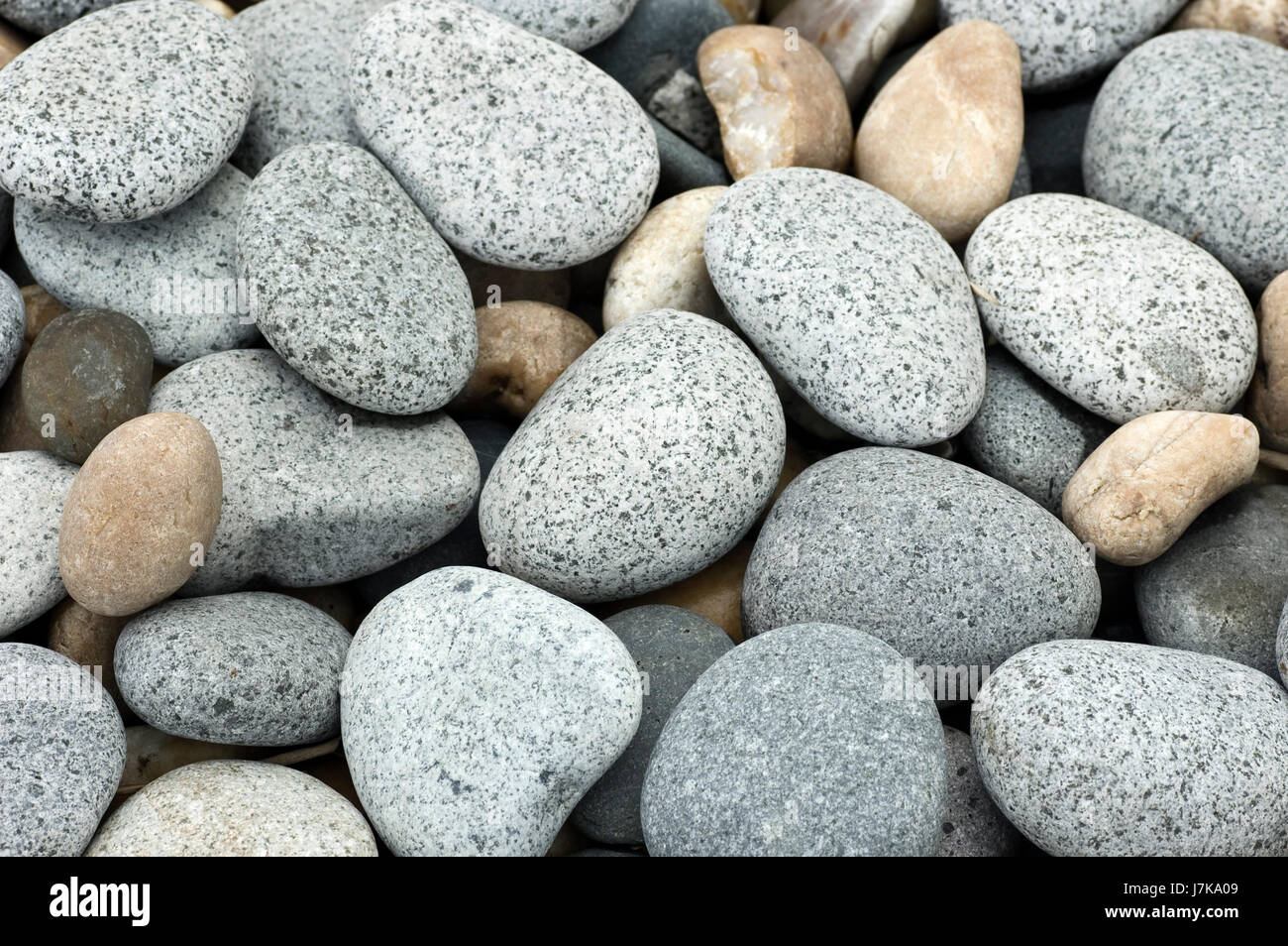 close shine shines bright lucent light serene luminous objects macro ...