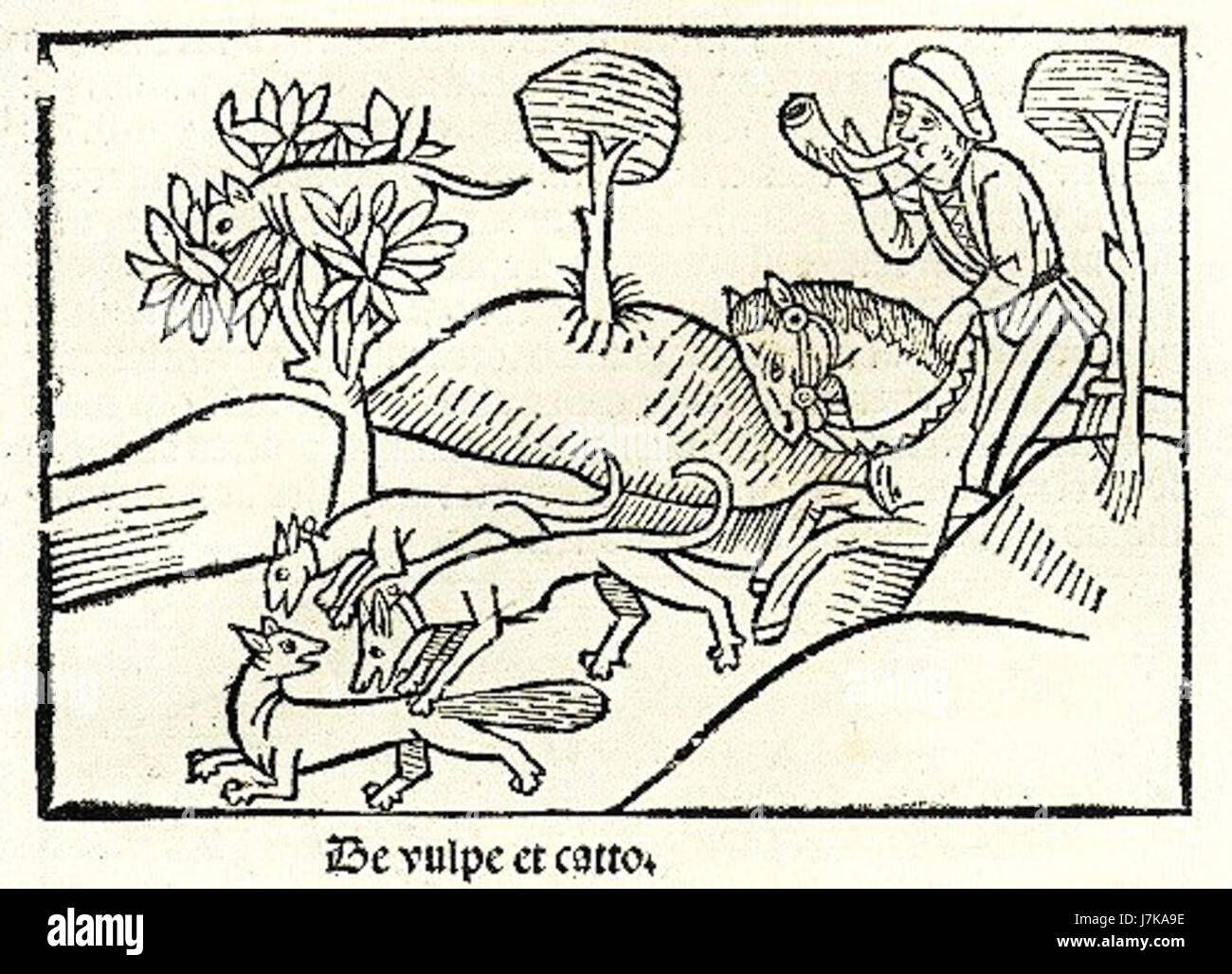 Vulpe hi-res stock photography and images - Alamy