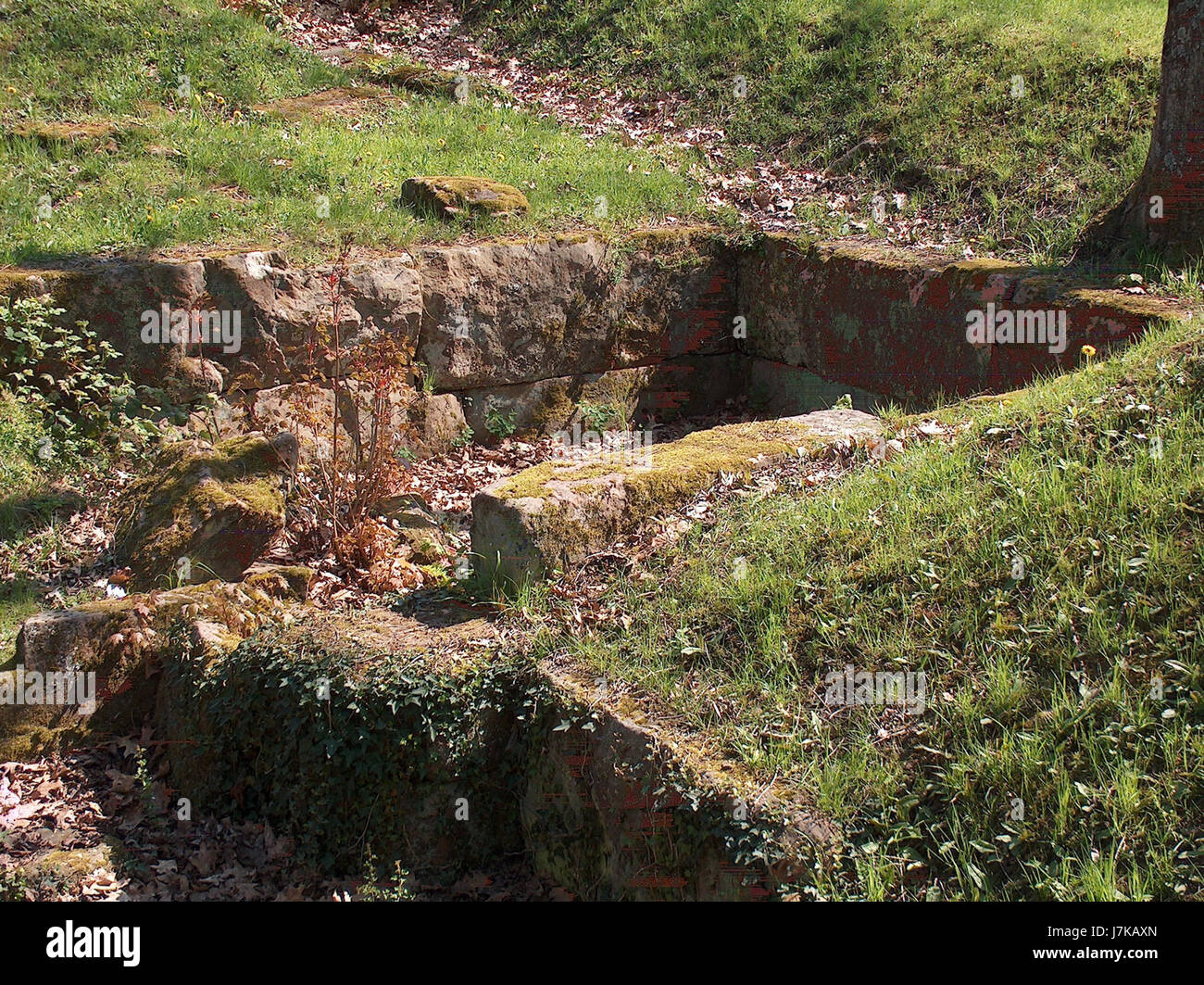 Roman frontier fort hi-res stock photography and images - Alamy