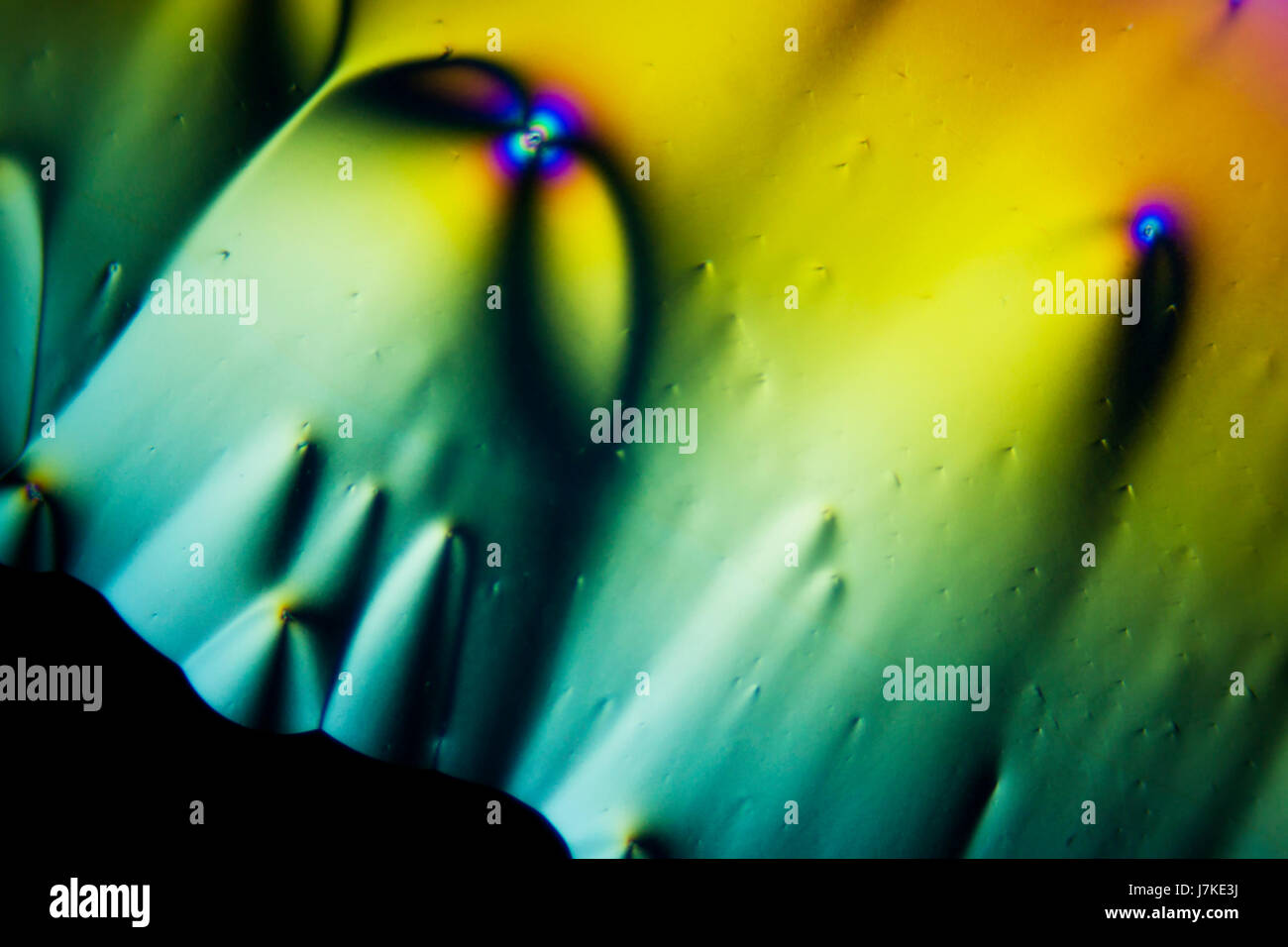 microcrystals of ascorbic acid in polarized light Stock Photo - Alamy