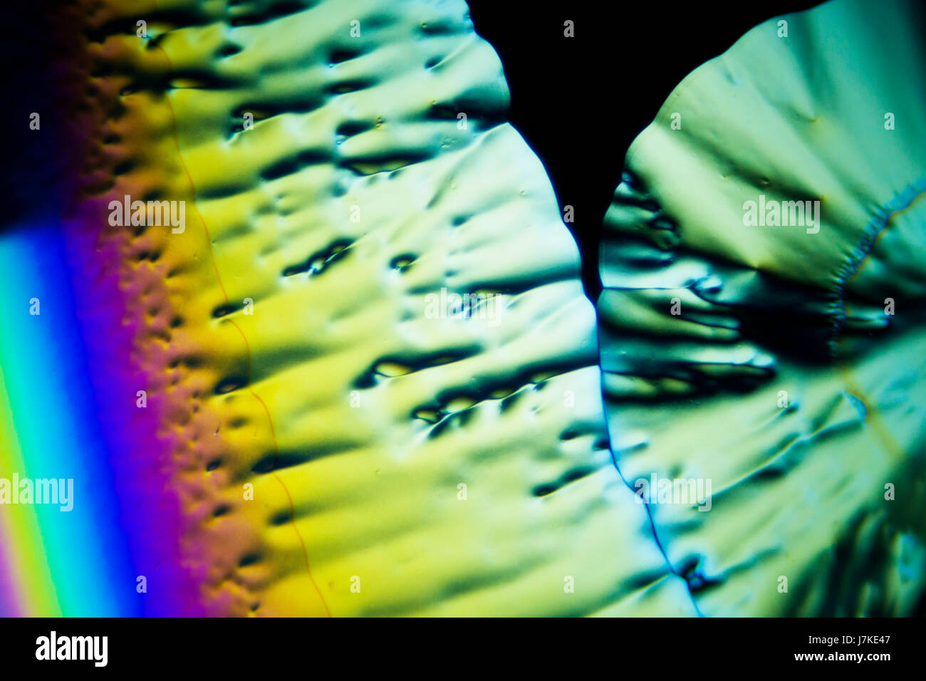 coloured colourful gorgeous multifarious richly coloured meditation ...