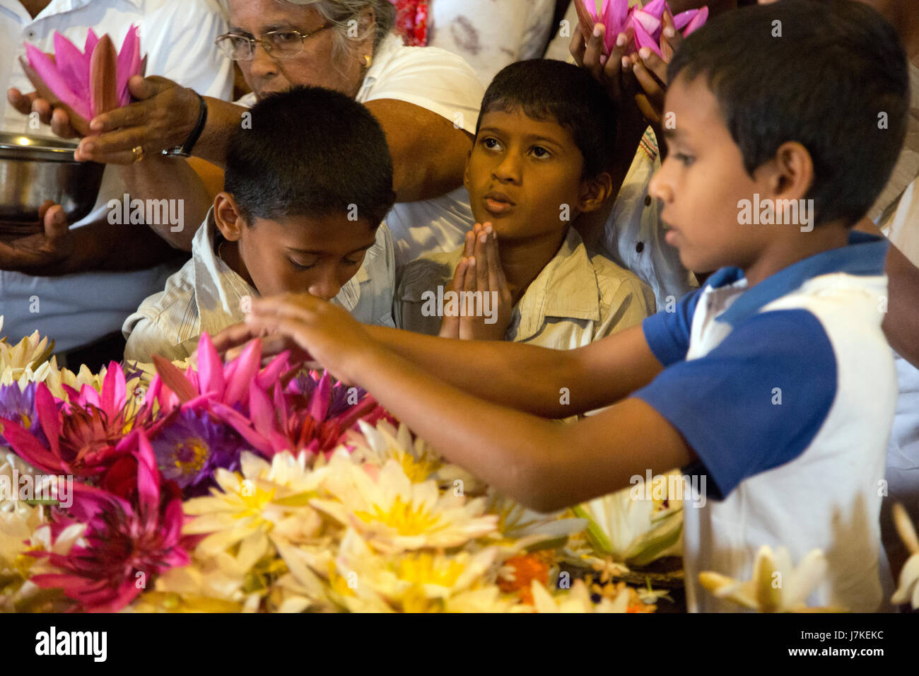 Kandy Sri Lanka Temple of the Sacred Tooth on Navam Full Moon Poya Day ...