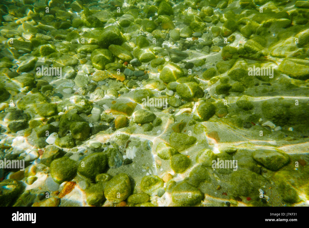 Stones underwater in clear azure hi-res stock photography and images ...