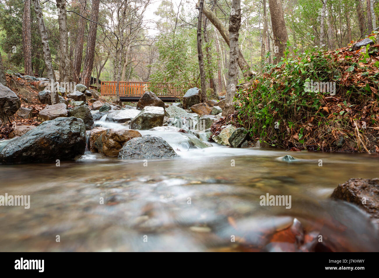 Peaceful Scenic Stream In The Mountains Stock Photo - Alamy