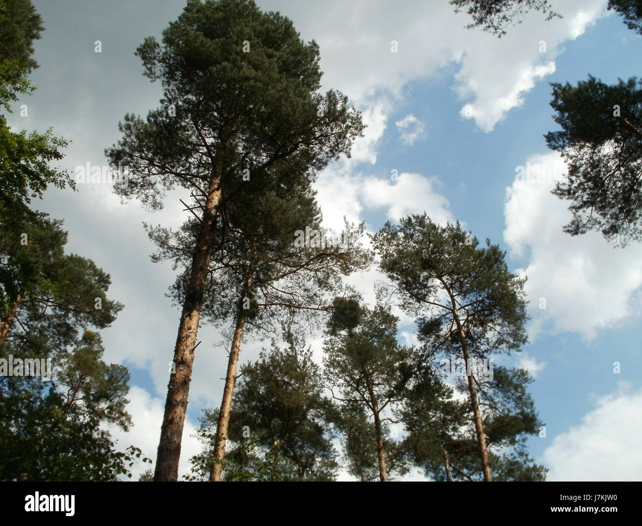 This title appears to refer to a location or event connected to ...