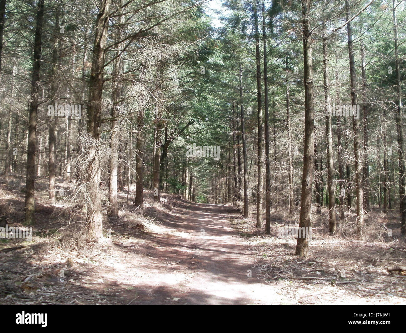 This image captures Schwetzinger Hart, a nature reserve and area of ...