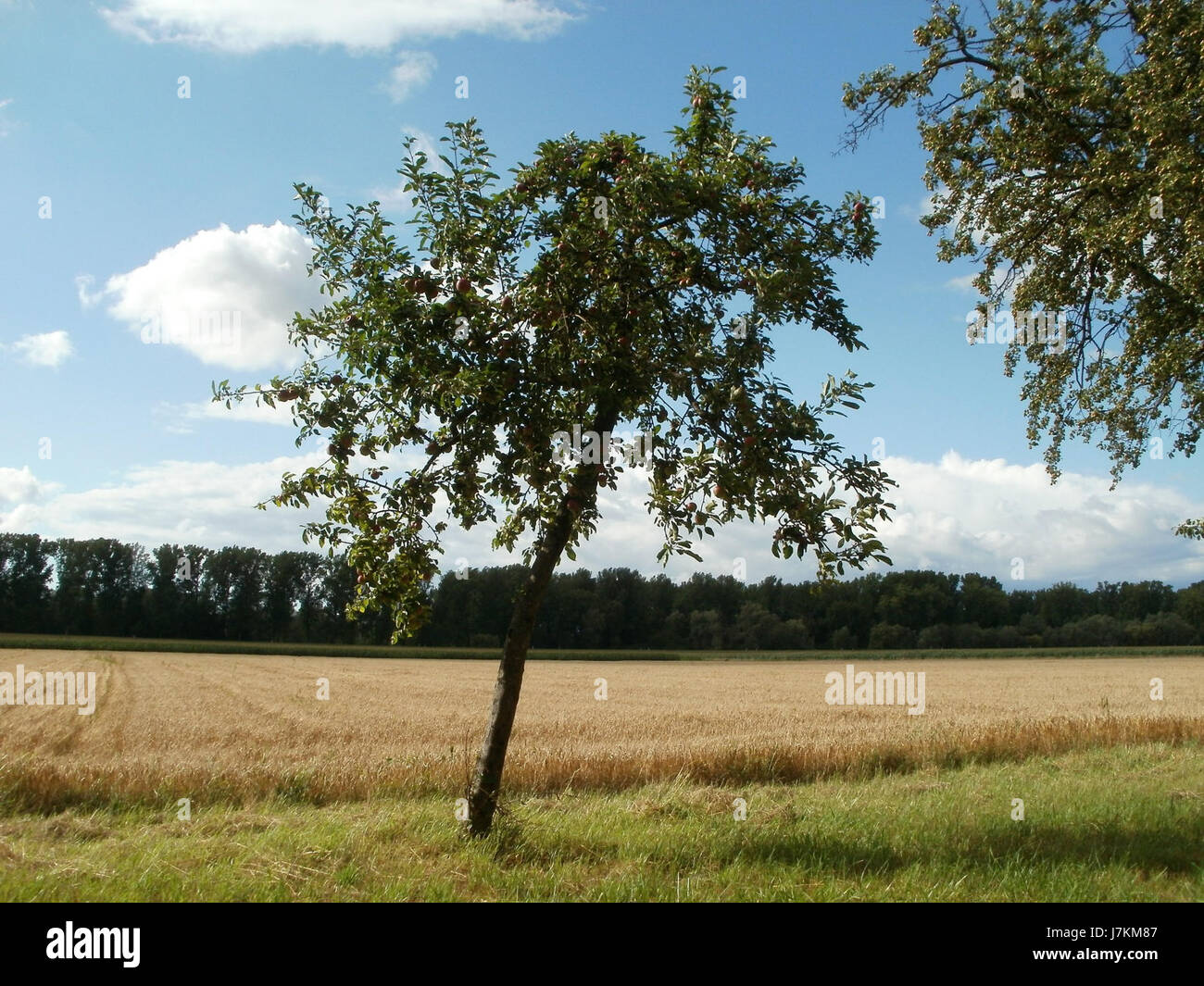 This photograph captures a view from the Oder River in Germany, taken ...