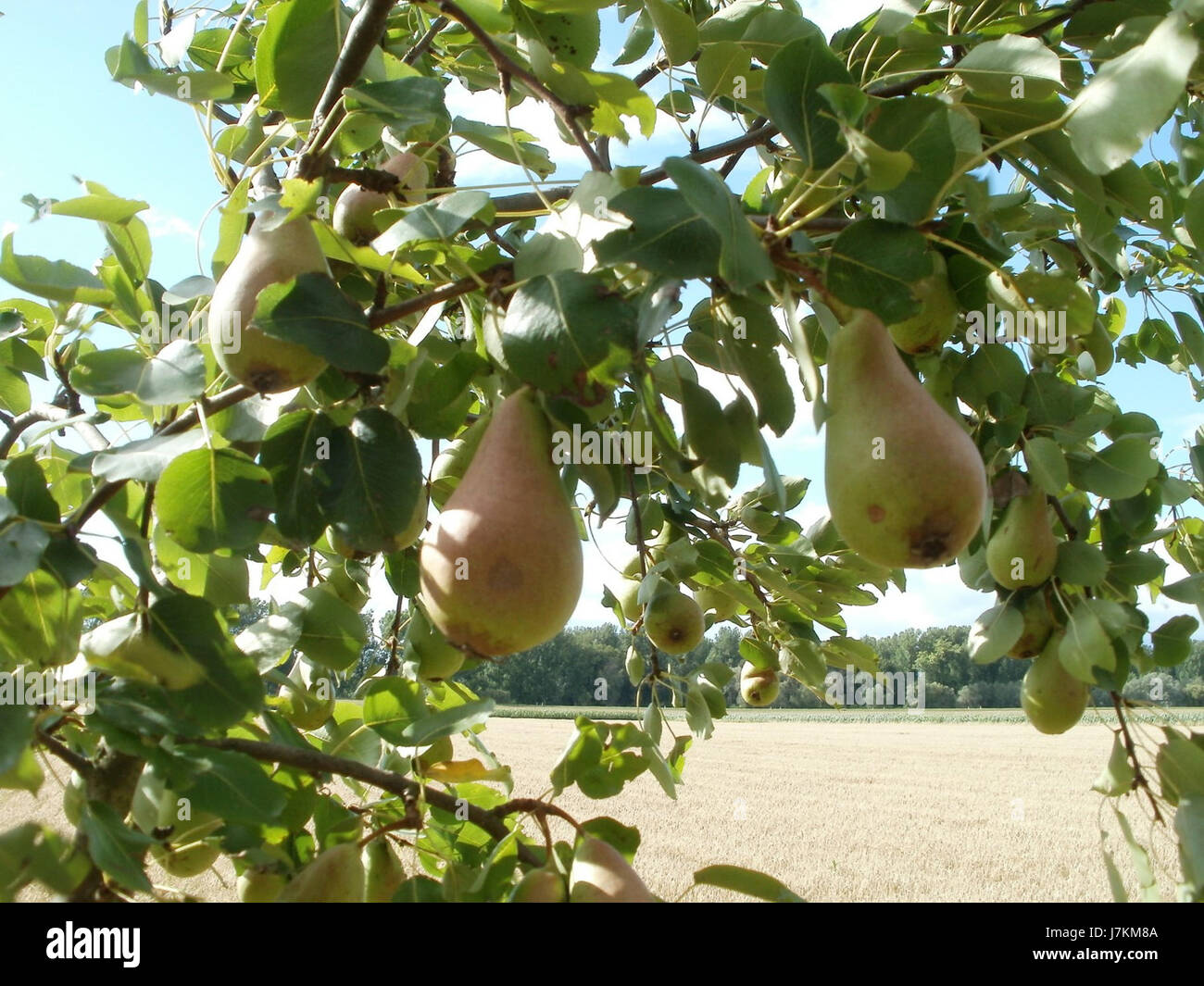 Geographic record hi-res stock photography and images - Alamy