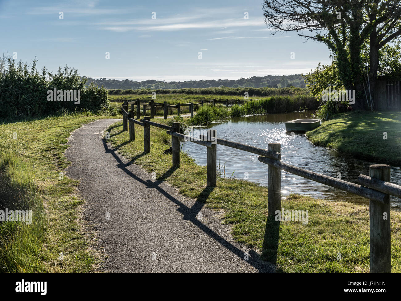 Path in the Olonne swamp (Vendee, France Stock Photo - Alamy