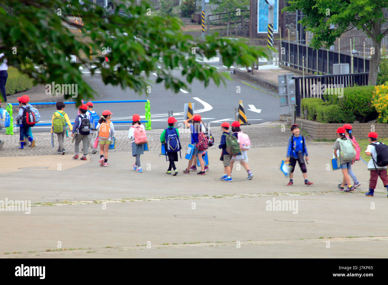 Excursion of School Children Sagamihara city Kanagawa Japan Stock Photo ...