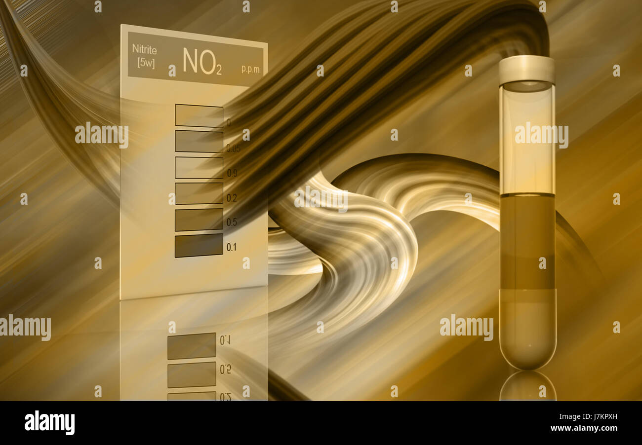 object education graphics colour research brown brownish brunette ...