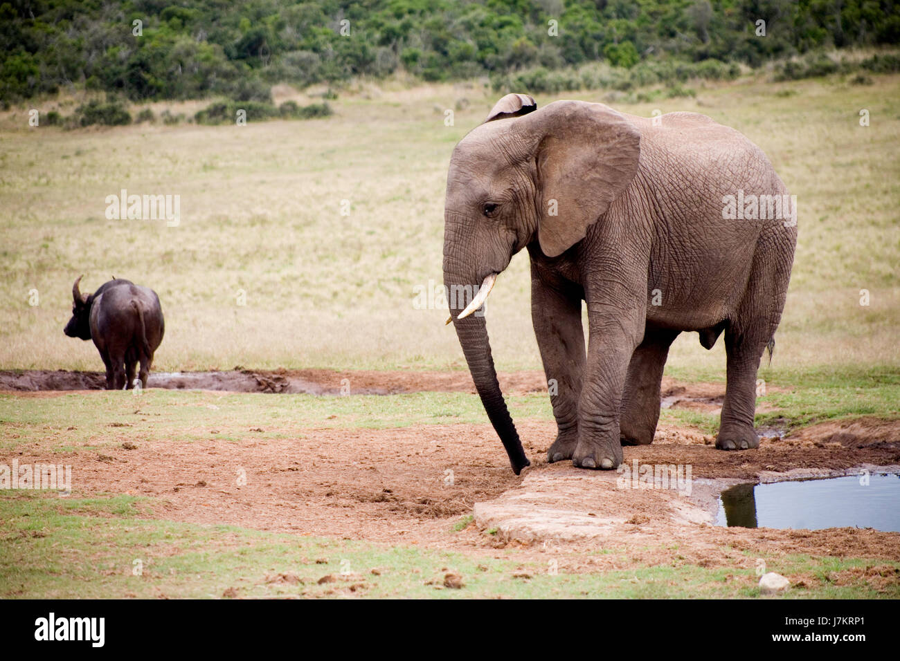 big large enormous extreme powerful imposing immense relevant park ...