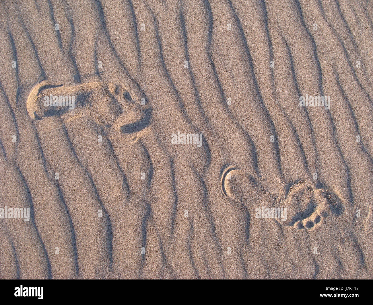 sand tracks,baltic sea Stock Photo - Alamy