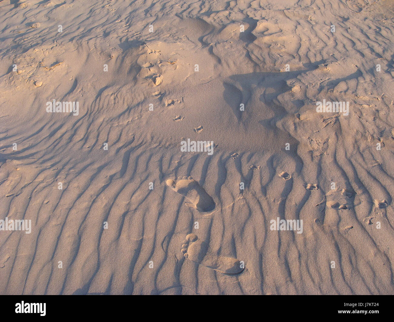sand tracks,baltic sea Stock Photo - Alamy