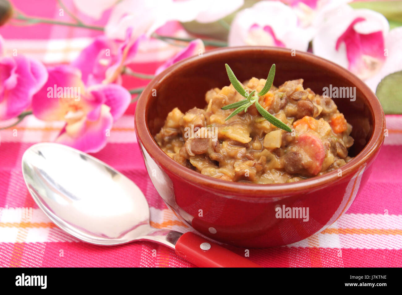 vegetable lenses mulligan soup food aliment dainty vegetable carrots ...