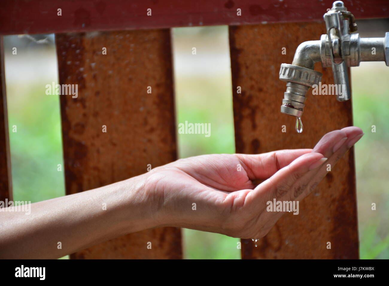 Hand holding water flowing from hi-res stock photography and images - Alamy