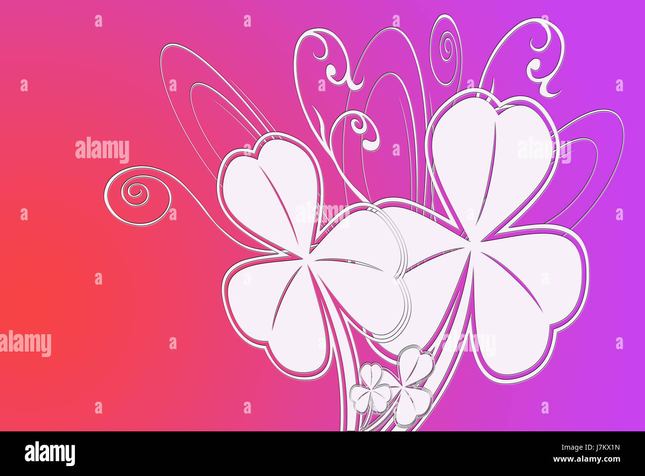 flower rose plant clover cloverleaf shamrocks backdrop background pink ...