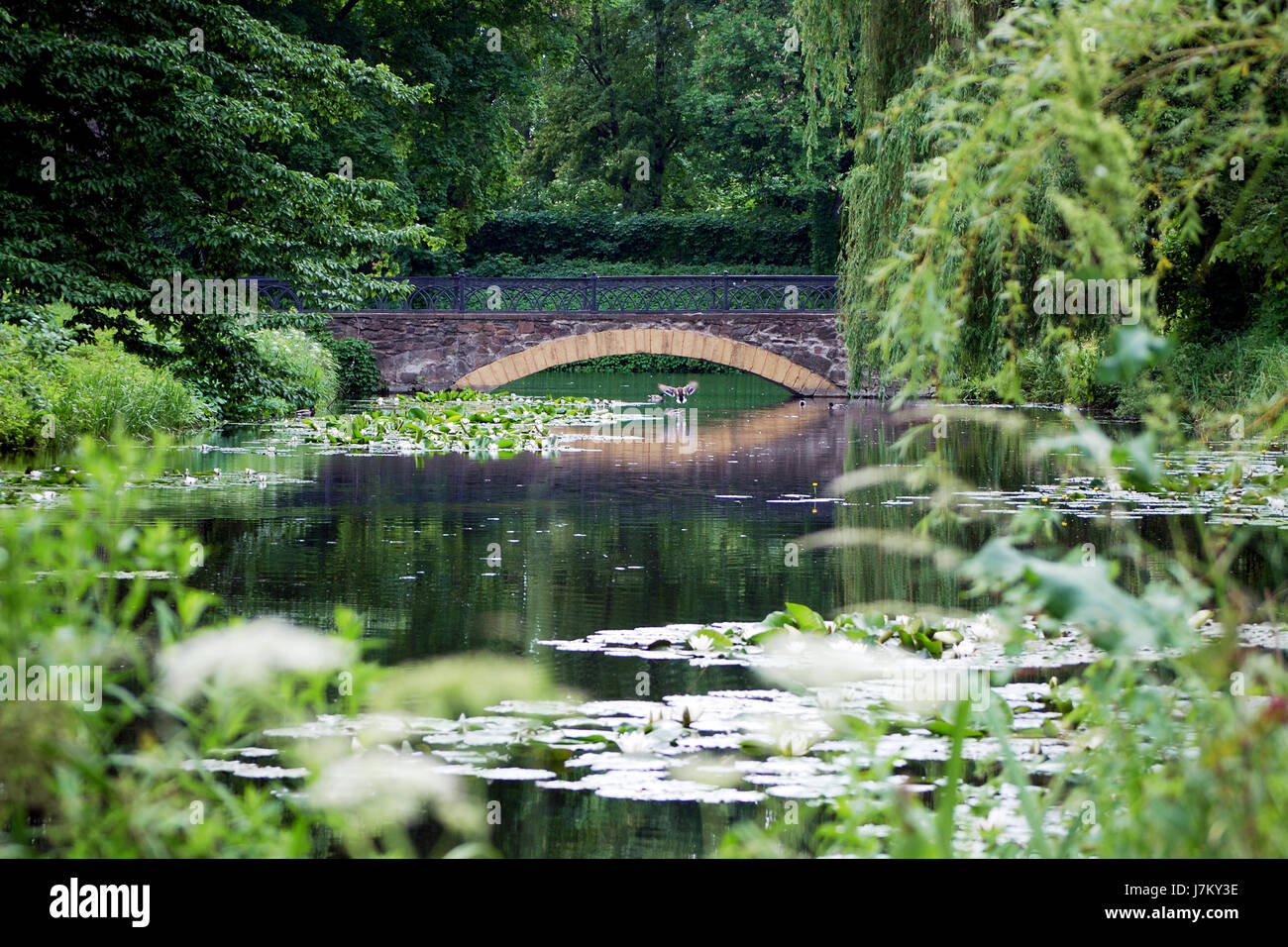 Belaya High Resolution Stock Photography and Images - Alamy