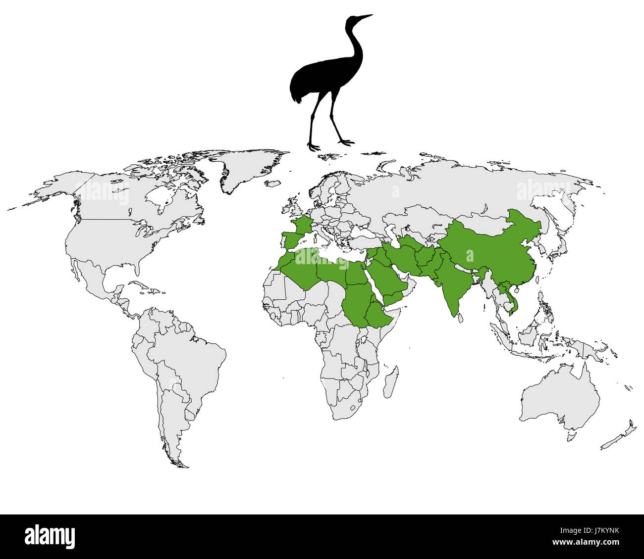 Map of crane Cut Out Stock Images & Pictures - Alamy