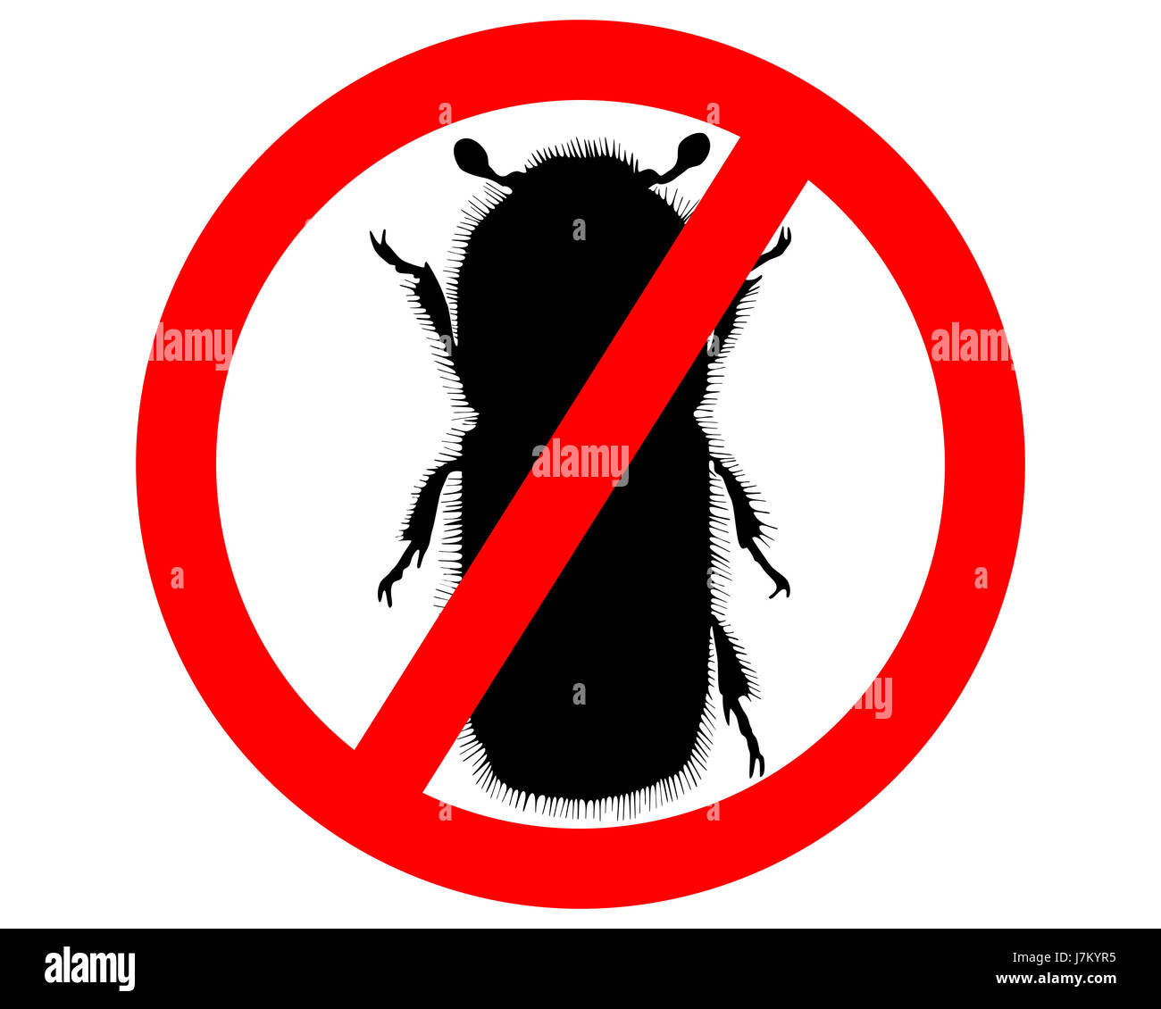 sign signal colour tree animal insect traffic transportation fauna ...