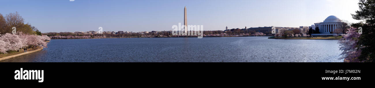monument memorial bloom blossom flourish flourishing cherry festival ...