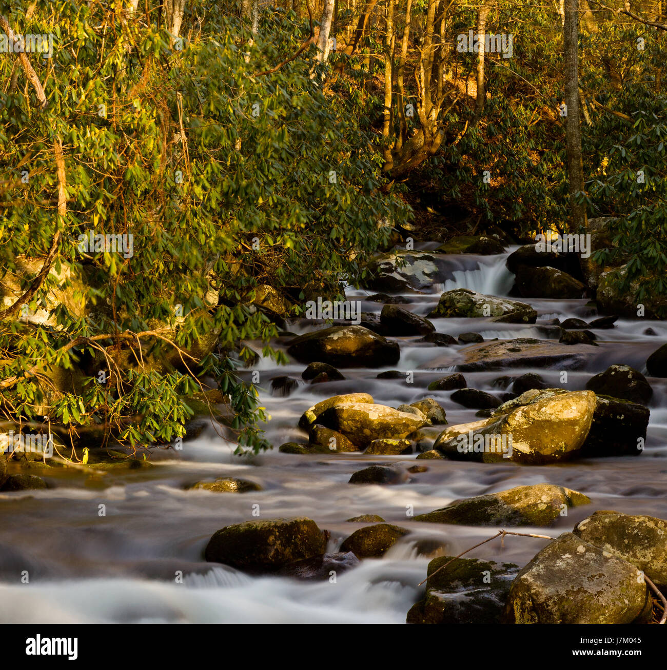 mountains stream waterfall laurel smoky falls drop drip drops seeping ...