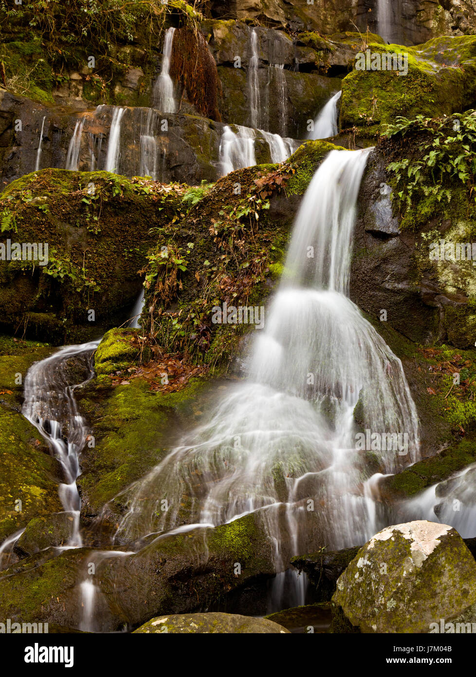 Thousand drips hi-res stock photography and images - Alamy