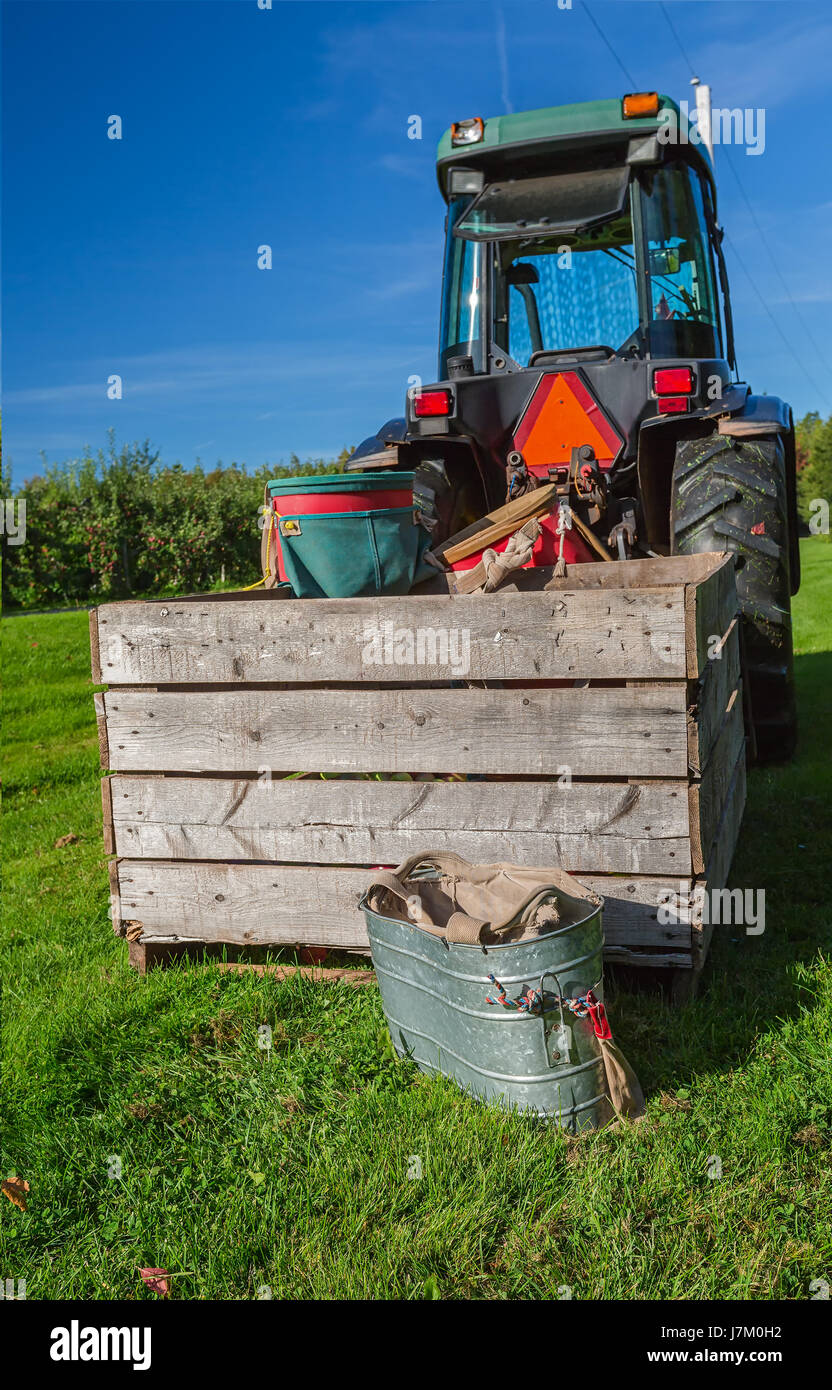 Harvest season orchard hi-res stock photography and images - Alamy