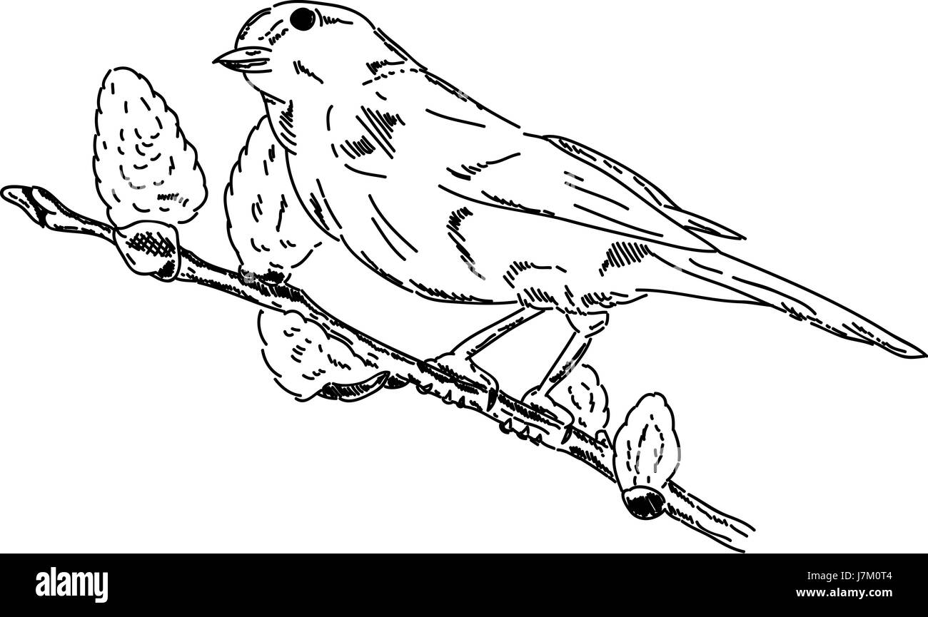 colour spring bouncing bounces hop skipping frisks jumping jump ...