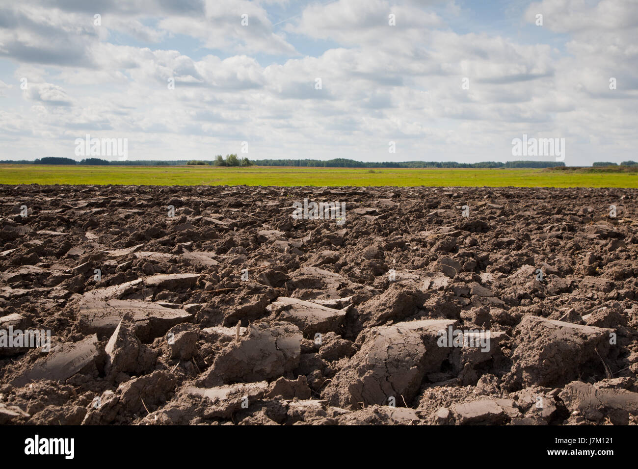 ground soil earth humus agriculture farming field summer summerly open ...