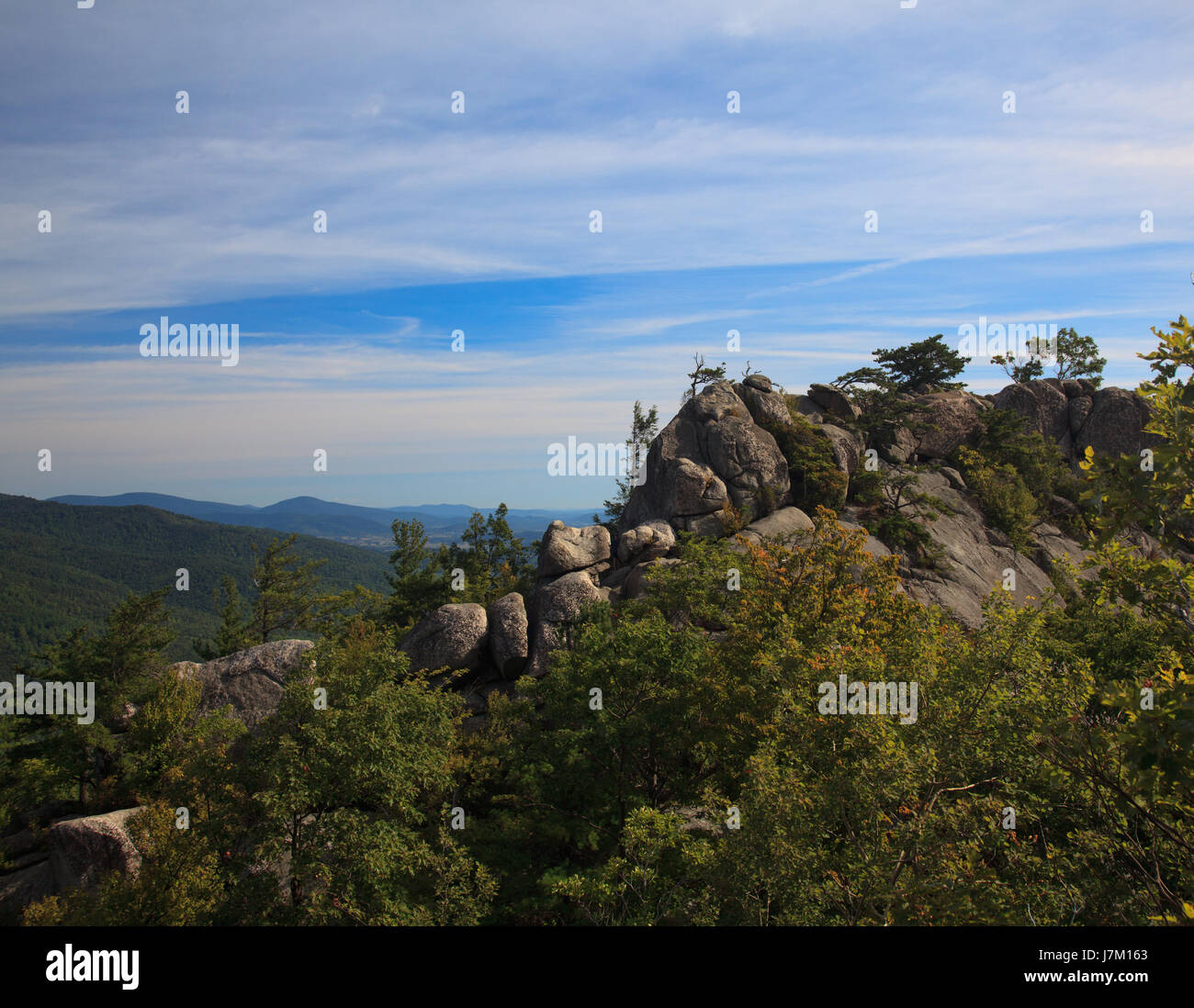 tree trees sight view outlook perspective vista panorama lookout ...