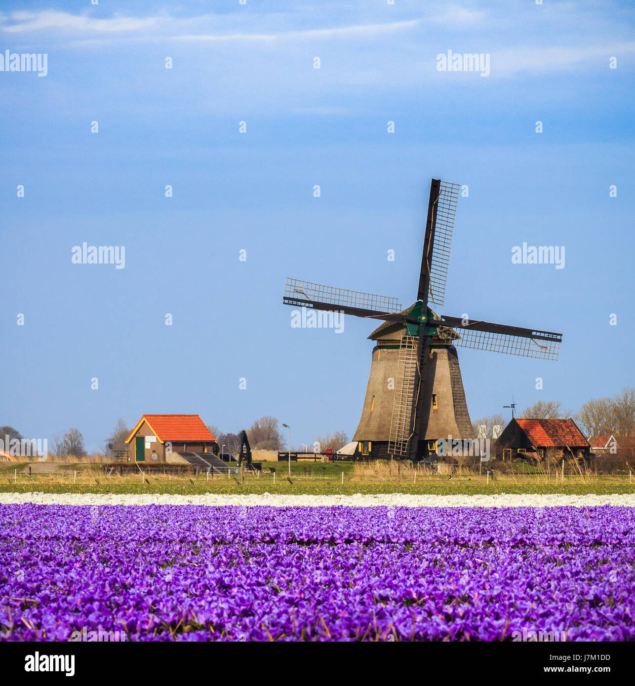 Old fashioned windmill in Netherlands Stock Photo - Alamy