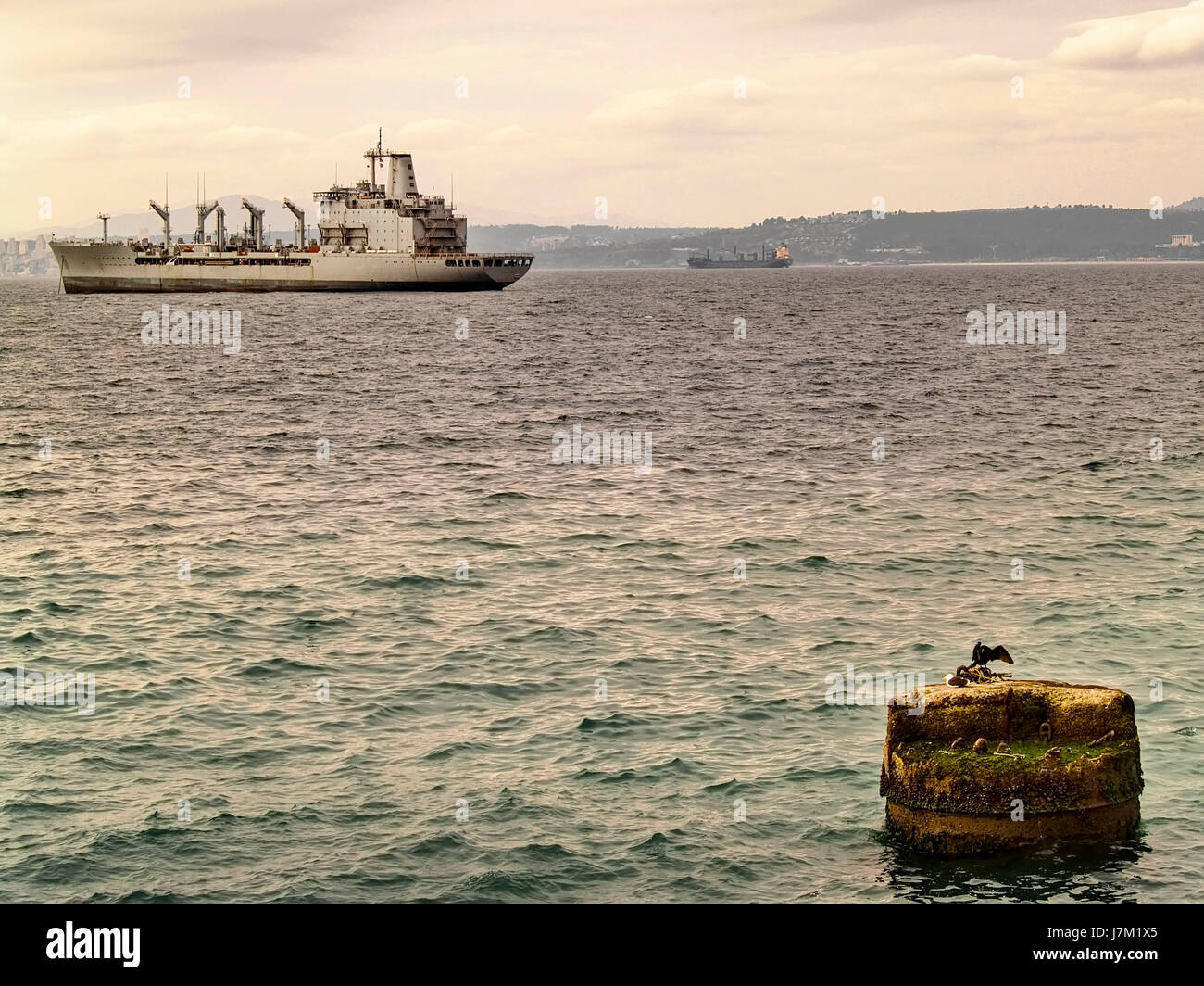 army beach seaside the beach seashore birds war bay warship patrol ship ...