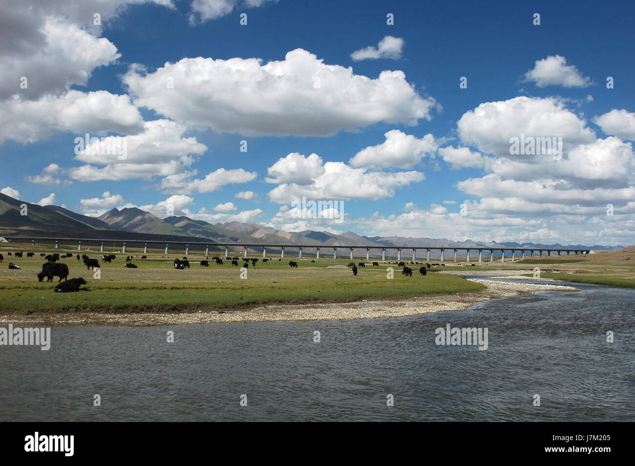 beautiful beauteously nice environment enviroment summer summerly ...