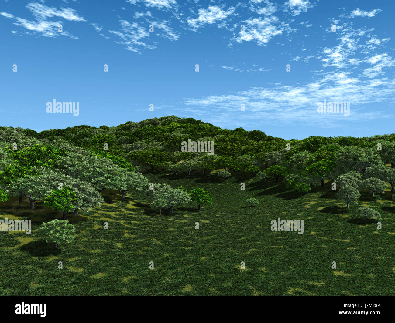 tree trees field illustration forest blue travel tree trees horizon ...