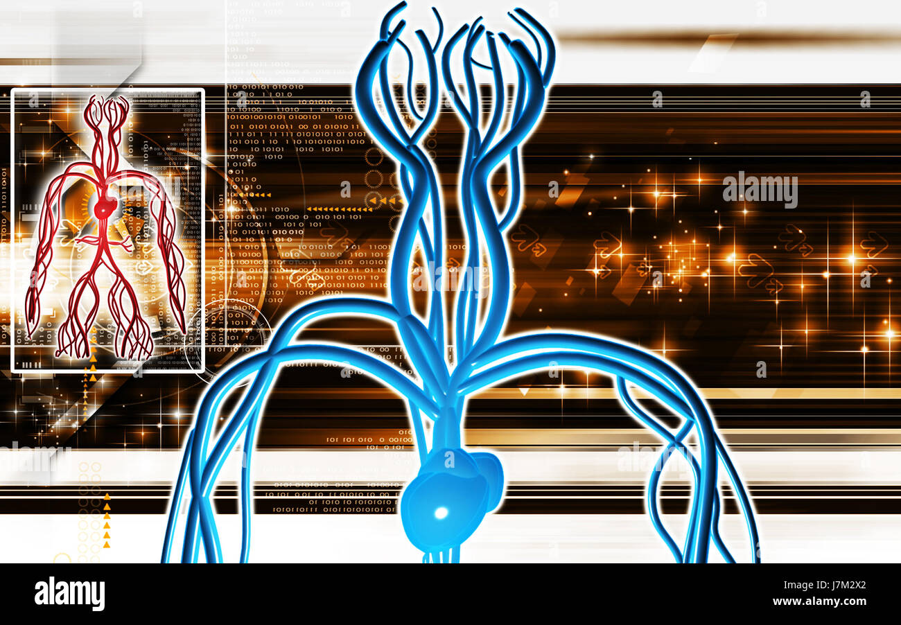 blue object education circulation graphics colour human human being ...