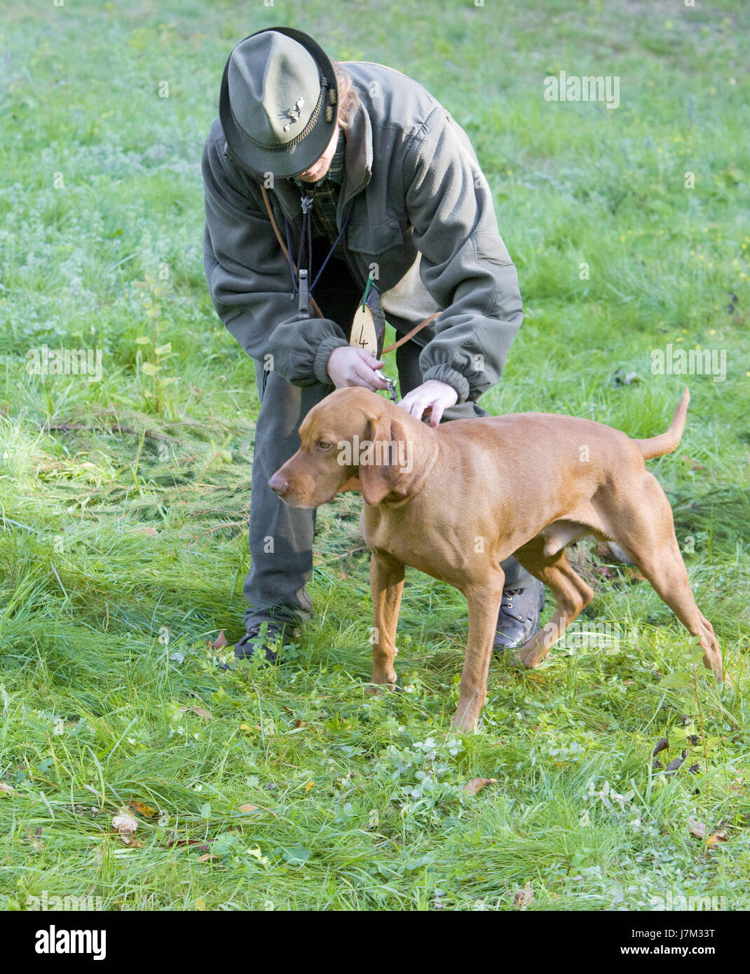 Gamekeepers dogs hi-res stock photography and images - Alamy