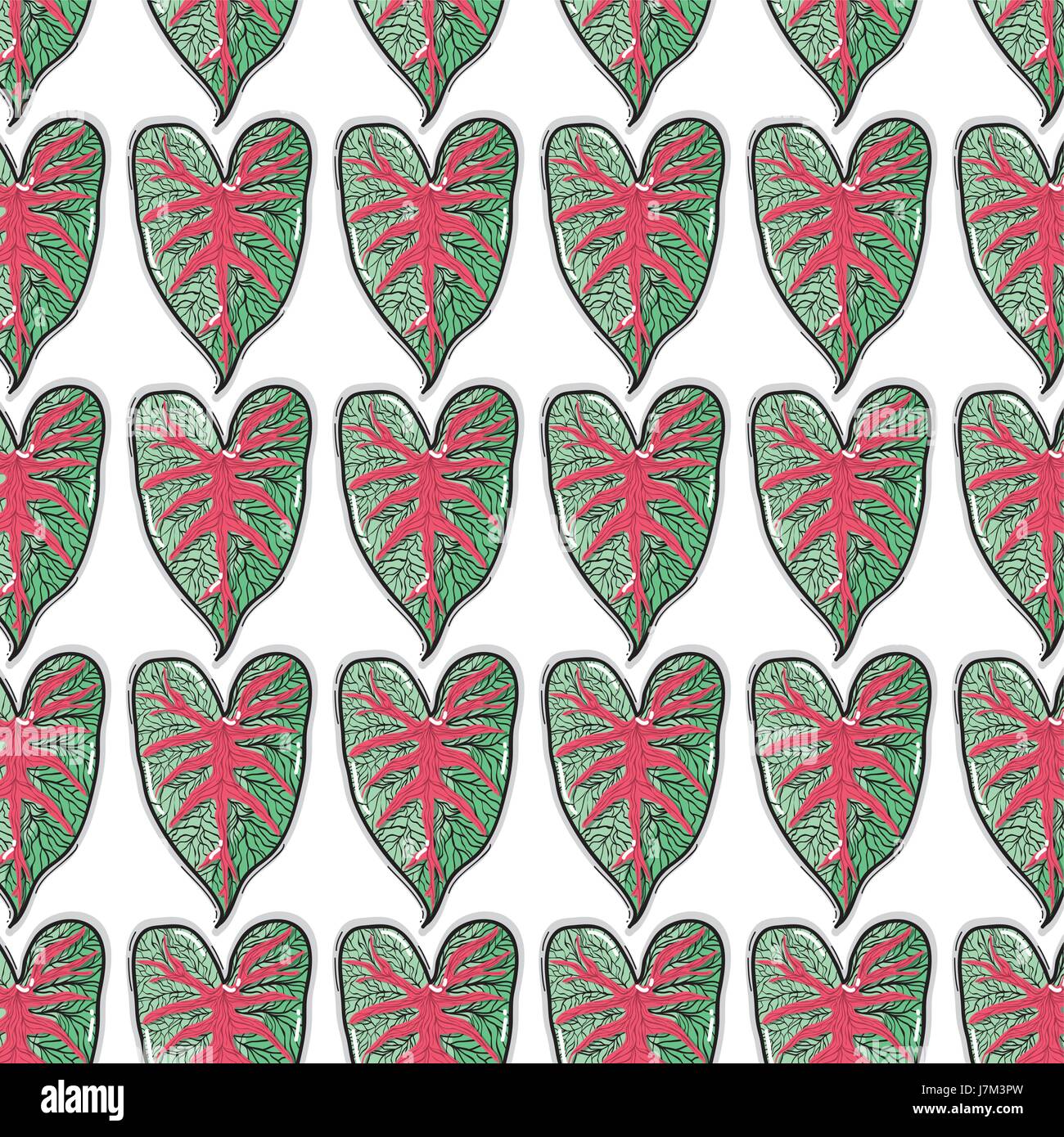 leaf of natural plant herb botany background Stock Vector Image & Art ...
