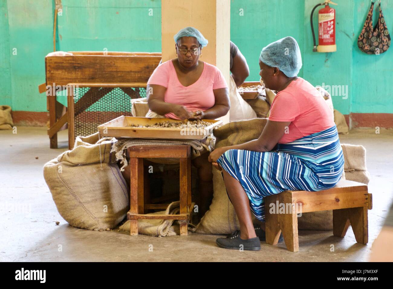 Grenada chocolate factory hi-res stock photography and images - Alamy