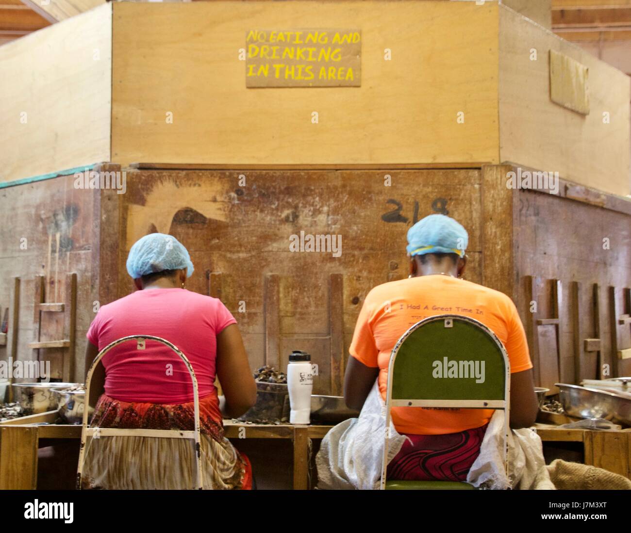 Grenada Cocoa Bean sorting factory Stock Photo - Alamy